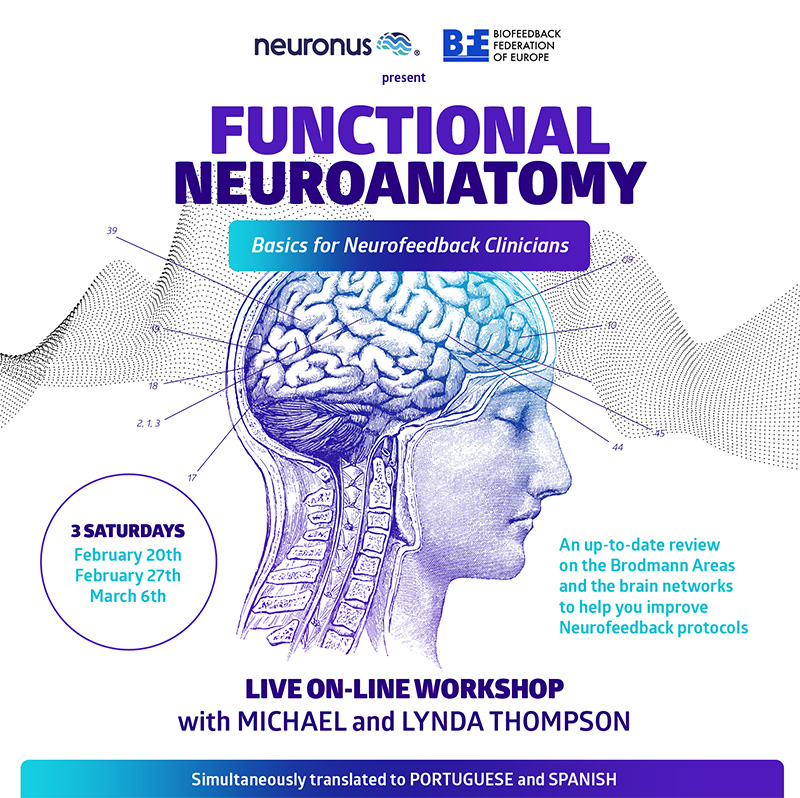 Neuroanatomy
